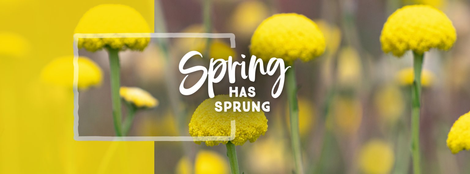 Accommodation, Caravan Park and Camping in Bright, Victoria. - Bright ...